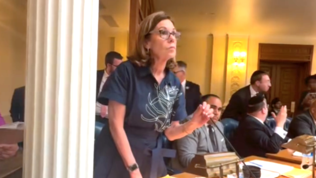 Assemblywoman Stamato introduces bill to waive sales tax on pet ...