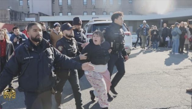 2 arrested, including 1 council aide, after entering Heights hospital ...